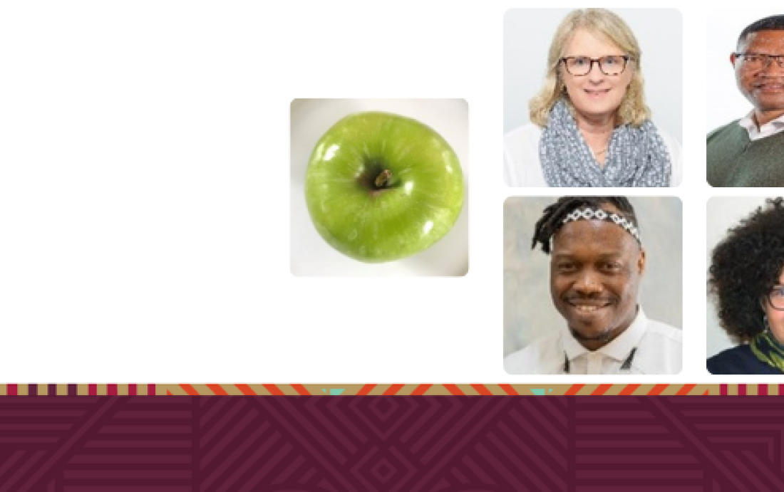 Decolonisation | Stellenbosch University