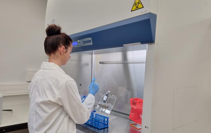 BMRI Labs | Stellenbosch University