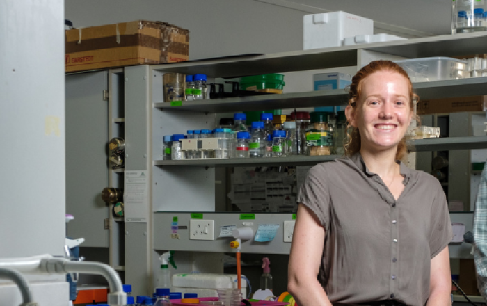 COP28 | Stellenbosch University