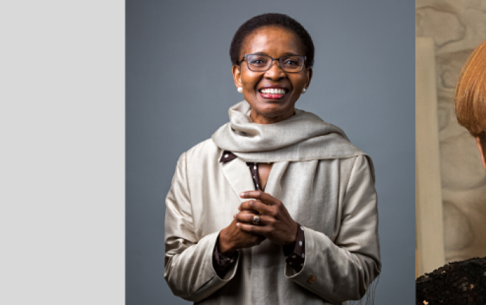 harvard | Stellenbosch University