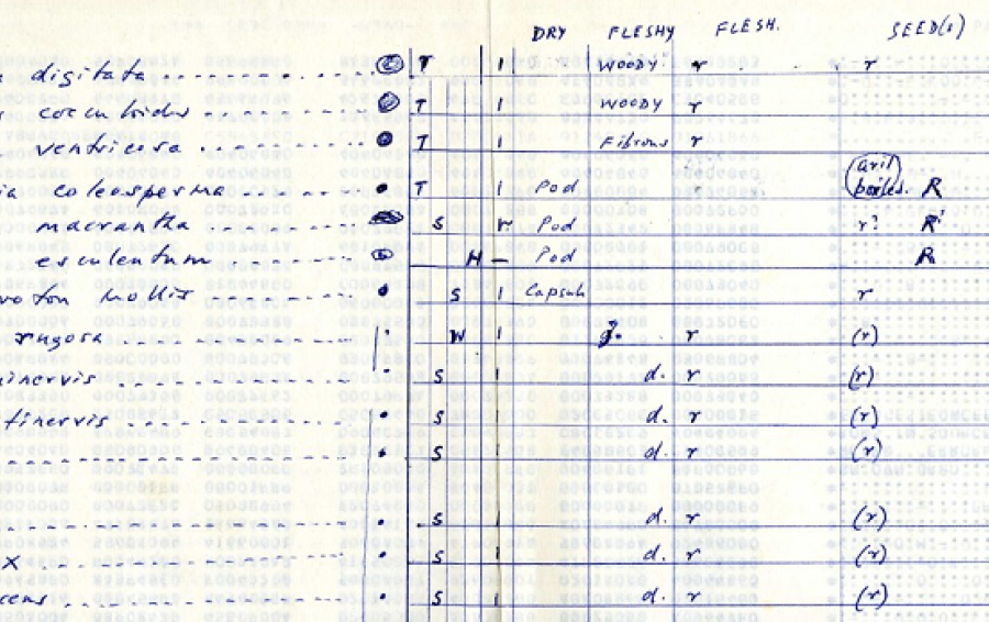 Food plants | Stellenbosch University