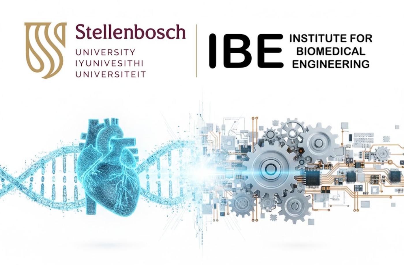 Institute for Biomedical Engineering | Stellenbosch University