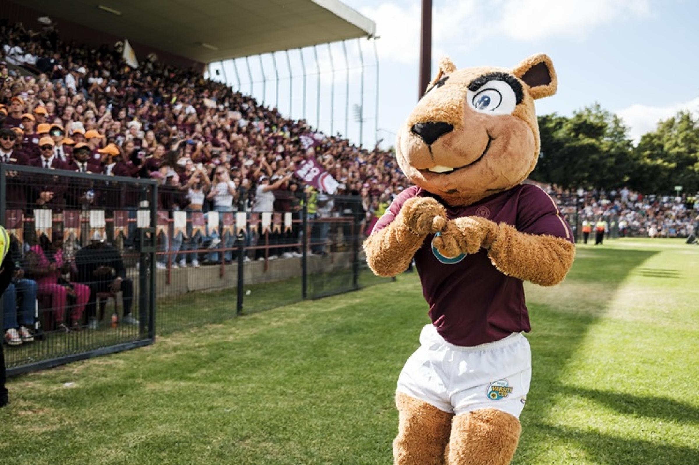 Intl Applications | Undergraduate | Stellenbosch University