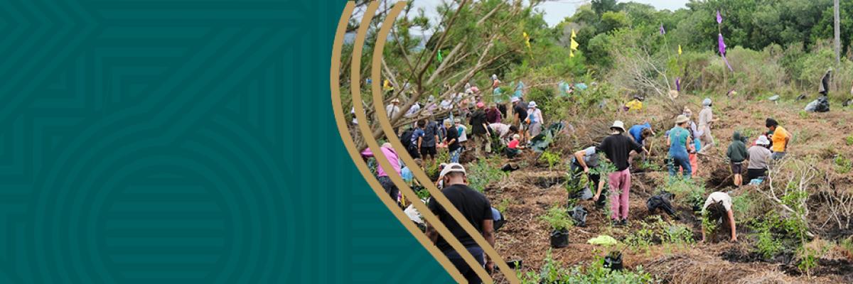 DACES’s ongoing efforts towards sustainability | Stellenbosch University