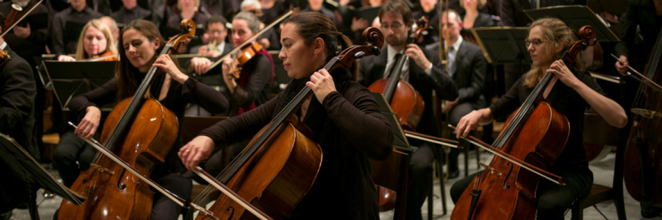 Programme for Chamber Music Festival 2017 announced | Stellenbosch ...