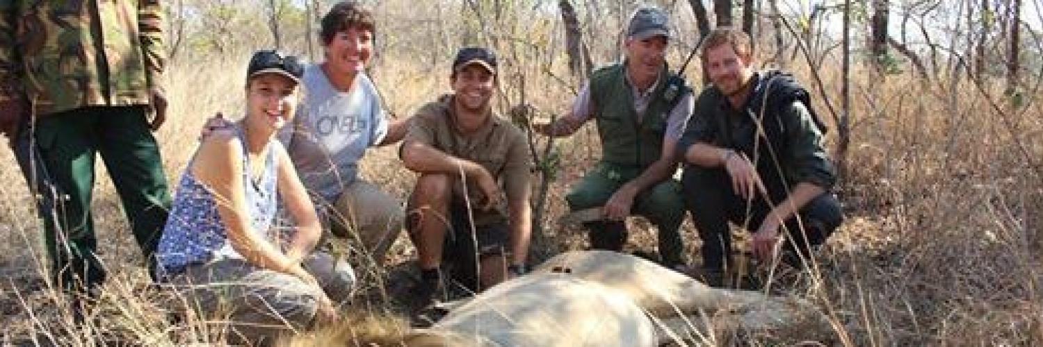 SU crocodile researcher receives international award | Stellenbosch ...