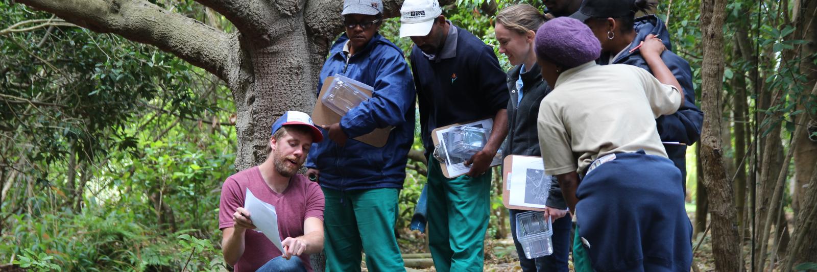 Launched: Crowdfunding project to get Kayamandi kids involved in fynbos ...