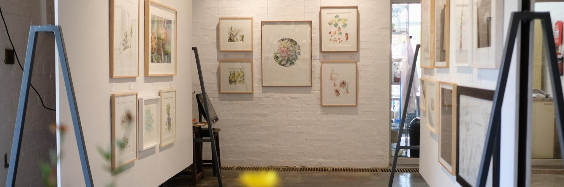 Stellenbosch University Botanical Garden launches landmark botanical ...