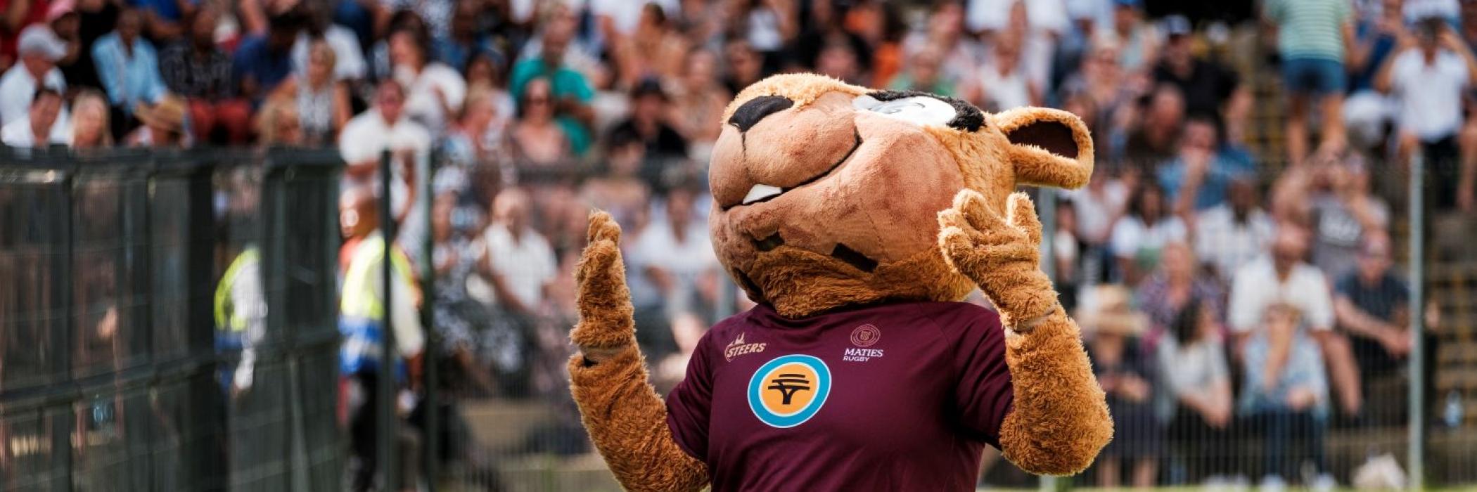 Spirits run high as SU prepares to welcome its new Maties ...