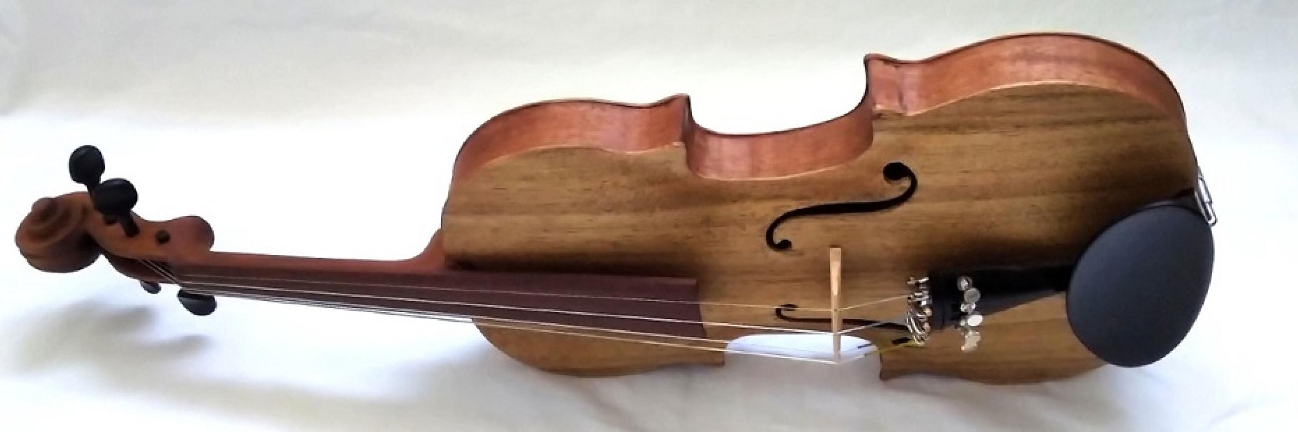 A second fiddle of note | Stellenbosch University