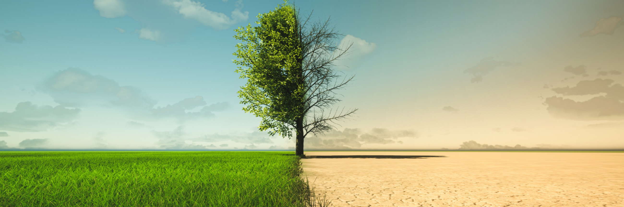 World Environment Day highlights importance of sustained climate action ...