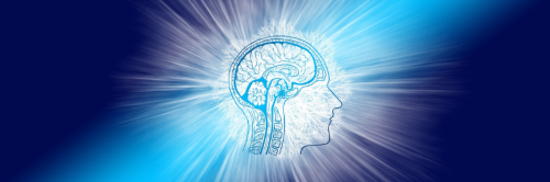 Rethinking resilience in the era of COVID-19 | Stellenbosch University