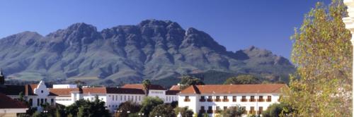 SU Council takes investigations further and appoints language ...