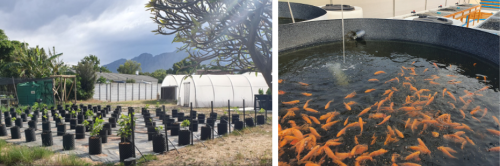 SUWI researchers working with small-scale farmers to co-create value ...