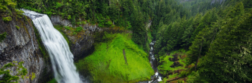 World Environment Day: Our future depends on a healthy environment ...