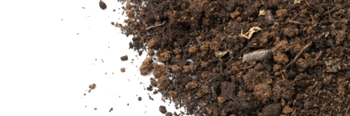 Tiny microbes called up in fight against climate change | Stellenbosch ...