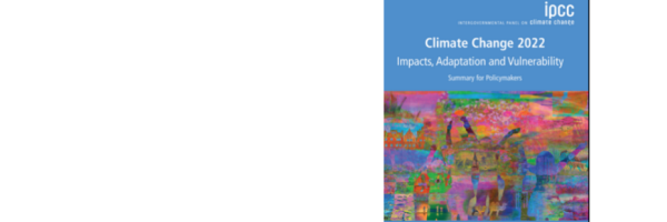 Africa’s adaptation to climate change hampered by skewed funding and ...