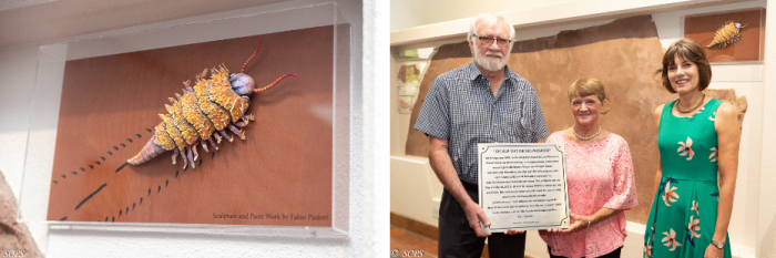 Fossil trace rock’s glory restored after 58 years | Stellenbosch University