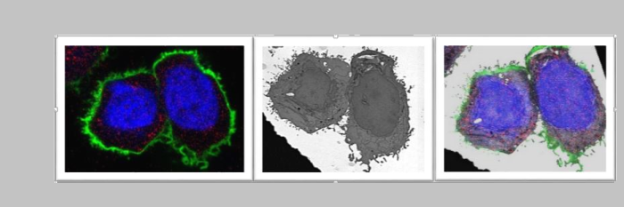 New nano-imaging platform at SU | Stellenbosch University