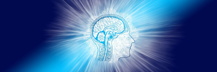 Rethinking resilience in the era of COVID-19 | Stellenbosch University