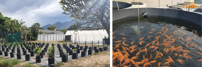SUWI researchers working with small-scale farmers to co-create value ...
