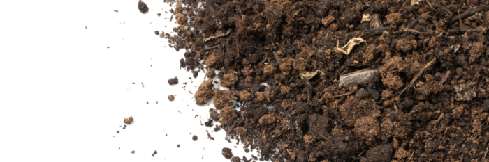 Tiny microbes called up in fight against climate change | Stellenbosch ...